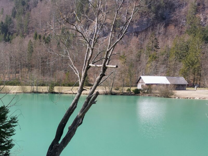 Trips – Radovna valley – Maple & Pine