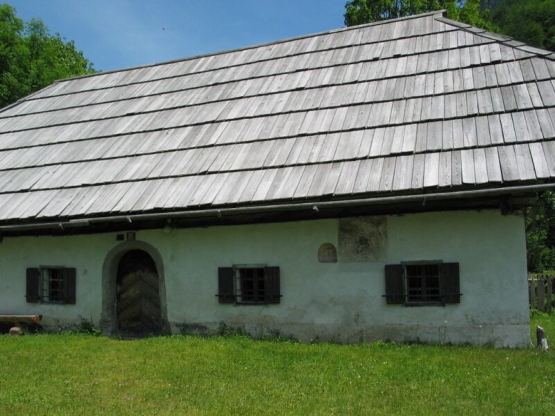 Trips – Radovna valley – Maple & Pine